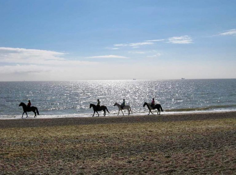 Beach Riding - Pakefield Riding School