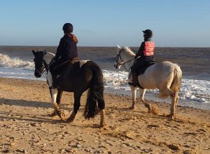 Pakefield Riding School - Pakefield Riding School